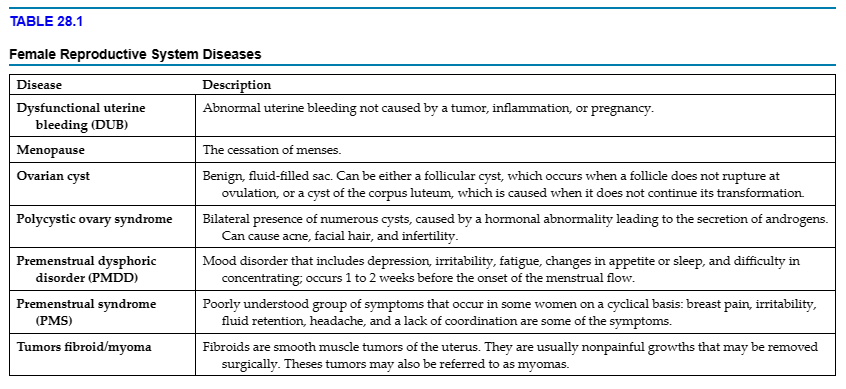 Cancers of the Female Reproductive System – Learn HCIS – LVN and MA ...
