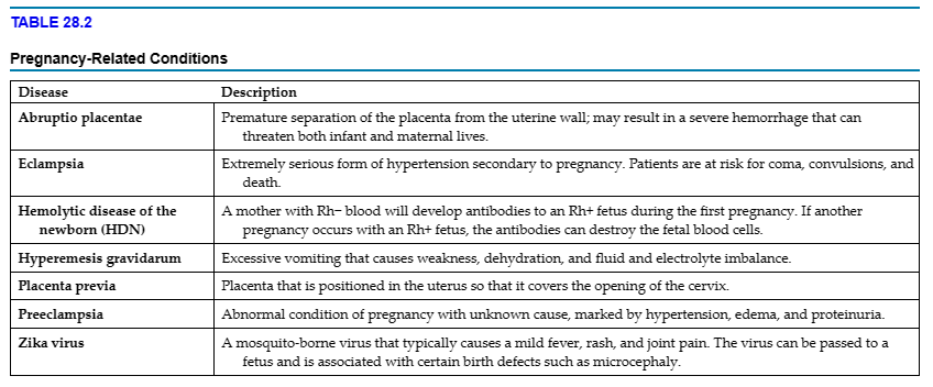 Cancers of the Female Reproductive System – Learn HCIS – LVN and MA ...