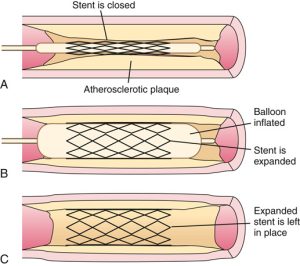 The Medical Assistant’s Role in Examinations, Diagnostic Procedures ...