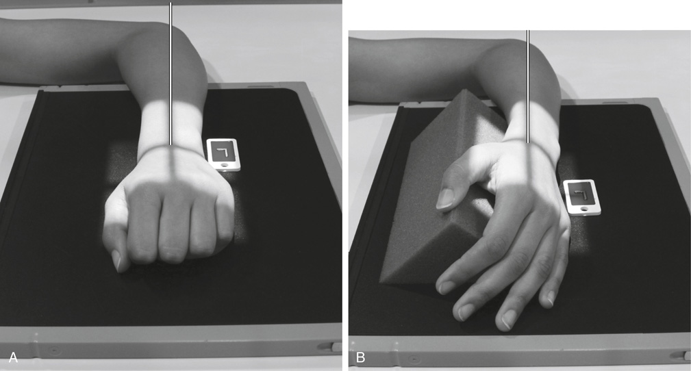Upper Limb and Shoulder Girdle Images – Learn HCIS – LVN and MA ...